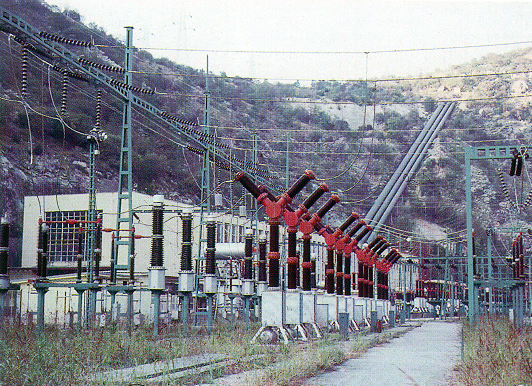 Modernizacija i revitalizacija hidroelektrane Perućica - Faza II, Crna ...